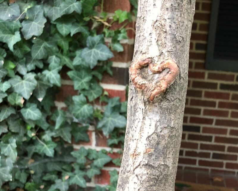 10 Ways Sustainability is About Seeing Things From A Different ...