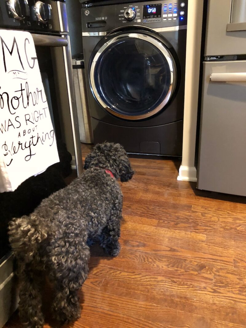 How to Do Laundry the Eco-Friendly Way - Kat Stano